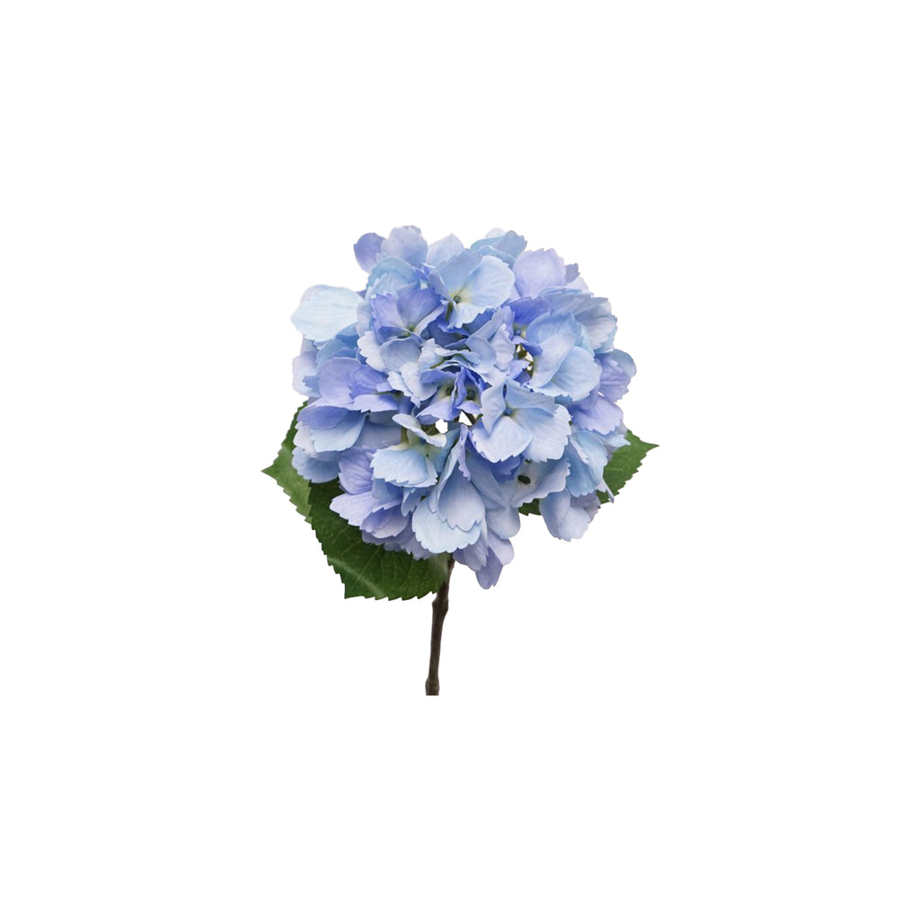 Ocean Hydrangea Stem - Multiple colour options – Artisan Living
